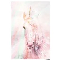 Poster Reinders "Poster Magisches Einhorn Farbenfroh - Fantasie - Pferd", rosa (farbe bild(er): rosa), B:61cm H:91,5cm, Papier, Bilder, Poster