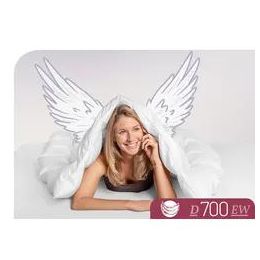 G&auml;nsedaunenbettdecke Schlafstil "D700", wei&szlig;, B:135cm L:200cm, Bezug: 100% Baumwolle. F&uuml;llung: 100% G&auml;nsedaunen, Bettdecken, hergestellt in Deutschland, allergikerfreundlich