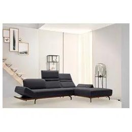 Ecksofa "CR.420, Designecksofa, L-Form", schwarz (anthrazitgrau, schwarzgrau), B:313cm H:117cm T:212cm, CREATION BY ROLF BENZ, Sofas, Ecksofa, in 2 Qualit&auml;ten, Holzrahmen in Eiche Natur oder Nu&szlig;baum, Breite 313 cm