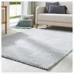 Hochflor-Teppich ANDIAMO "Chicago", grau, B:80cm H:40mm L:150cm, Obermaterial: 100% Polypropylen, Teppiche, Uni Farben, weich & kuschelig, ideal im Wohnzimmer & Schlafzimmer
