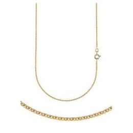 Collierkettchen Firetti "Schmuck Geschenk Gold 333 oder 585 Halskette Ankerkette rund" Gr. 55, gold (gelbgoldfarben), Halsketten, Damen, 55, Gelbgold 333, B: 1,5mm, Made in Germany, B:1,5mm