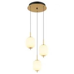 Globo LIGHTING LED Pendelleuchte "EWALD", messingfarben, 1 Stk., Leuchten, H&auml;ngelampe/H&auml;ngeleuchte/Glas opal/h&ouml;henverstellbar/messingfarben, LED Pendelleuchte