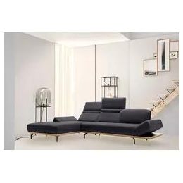 Ecksofa "CR.420, Designecksofa, L-Form", schwarz (anthrazitgrau, schwarzgrau), B:313cm H:117cm T:212cm, CREATION BY ROLF BENZ, Sofas, Ecksofa, in 2 Qualit&auml;ten, Holzrahmen in Eiche Natur oder Nu&szlig;baum, Breite 313 cm
