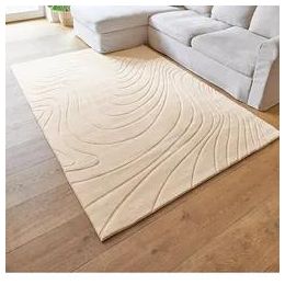 Teppich ANDIAMO "Dale", beige, B:80cm H:10mm L:150cm, Obermaterial: 100% Polyester, Teppiche, Teppich, Uni Farben, Hoch-Tief-Struktur, Carving-Effekt, Wohnzimmer