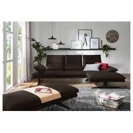 Ecksofa W.Schillig "broadway, Designsofa mit tollem Sitzkomfort", braun (braun z59), B:291cm H:94cm T:164cm, Longlife Xtra-Leder Z59: Glattleder mit modischer Pr&auml;gung. Hautst&auml;rke 0, 9 - 1, 1 mm, Sofas, Ecksofa, Sitztiefenverstellung, Kopfteil- & Seitenteilverstellung, Breite 291cm