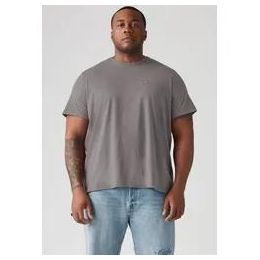 Levi's T-Shirt LEVI'S PLUS "LE BIG ORIGINAL HM TEE", Herren, Gr. 5XL (76/78), smoked pea, Jersey, Obermaterial: 100% Baumwolle, unifarben, regular fit normal, Rundhals, Shirts T-Shirt, mit Logo Stickerei