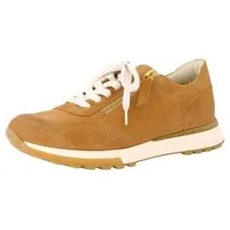 Sneaker Paul Green "Paul Green Sneaker Veloursleder", Damen, Gr. 37,5, braun, Veloursleder, Schuhe Sneaker