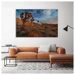 XXL-Wandbild queence "Akustikbild Landschaft W&uuml;ste", farbe bild(er): braun, B:120cm H:80cm T:2,5cm, Polyester, Bilder, Einfache Akustikl&ouml;sung ohne Bauma&szlig;nahme, Schalld&auml;mmung, Paneele