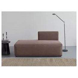 Chaiselongue "LYZA Open end, Loungem&ouml;bel zum Relaxen, Ma&szlig;e B/T/H: 152/96/74 cm", braun, B:152cm H:74cm T:96cm, 100% Polyester, LeGer Home by Lena Gercke, Sofas, Chaiselongue, als Modul oder separat verwendbar, f&uuml;r individuelle Zusammenstellung
