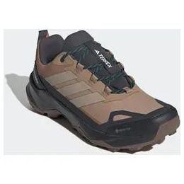 Wanderschuh Adidas TERREX "TERREX SKYCHASER AX5 GORE-TEX", Damen, Gr. 44, orange (cardboard, blanch cargo, semi impact orange), Synthetik, Textil, Schuhe Wanderschuh, wasserdicht dank Gore-Tex Membrane