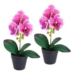 Kunstorchidee I.GE.A. "Orchidee im Topf 2er Set", rosa (dunkelrosa), B:18cm H:30cm L:9cm, Polyester, Kunstpflanzen, K&uuml;nstliche Phalaenopsis 30cm Real Touch Blume Kunstblume Seidenblume