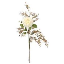 Kunstblumenstrau&szlig; I.GE.A. "Kunstblumen Set Dahlie1", beige (creme), B:32cm H:74cm L:16cm, Polyester, Kunstpflanzen, Mit Dekozweig 74 cm hoch Blumen Arrangement Seidenblumen Einzelblumen