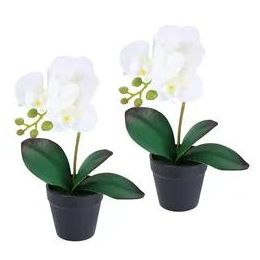 Kunstorchidee I.GE.A. "Orchidee im Topf 2er Set", wei&szlig;, B:18cm H:30cm L:9cm, Polyester, Kunstpflanzen, K&uuml;nstliche Phalaenopsis 30cm Real Touch Blume Kunstblume Seidenblume