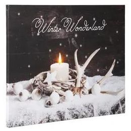 LED-Bild Dreams "Winter Wonderland, Weihnachtsdeko", grau (farbe bild(er): wei&szlig;, anthrazit, taupe), B:50cm H:40cm, MDF, Bilder, batteriebetrieben
