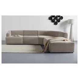 Ecksofa "LYZA L-Form links/rechts, Modularsofa "XL", Ma&szlig;e B/T/H: 287/267/74 cm", beige (taupe), B:287cm H:74cm T:267cm, 100% Polyester, LeGer Home by Lena Gercke, Sofas, Ecksofa, aus 4 Modulen, zusammen oder einzeln stellbar
