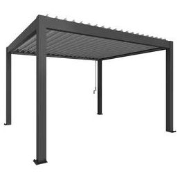 Pergola BioHort "4x3,5 m, verschiedene Farben", grau (dunkelgrau, metallic), B:404,5cm T:367,5cm, Pergolen, 404,5x367,5x264 cm, ausgezeichnet mit dem Red Dot Design Award
