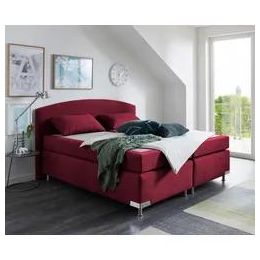 Boxspringbett "Amsterdam in den Breiten 160x200, 180x200cm & 200x200cm", rot (bordeaux, rot), B:215cm L:210cm, Westfalia Schlafkomfort, Komplettbetten, Boxspringbett