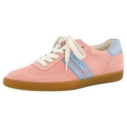 Sneaker Paul Green "Paul Green Sneaker Leder", Damen, Gr. 40, rosa, hellblau, Leder, Schuhe Sneaker
