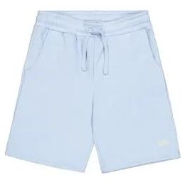 Shorts Alpha Industries "Basic Short SL II", Herren, Gr. L, Normalgr&ouml;&szlig;en, artic blau, Obermaterial: 80% Baumwolle, 20% Polyester, Hosen Shorts