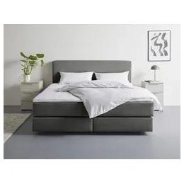 Boxspringbett "Zalia erh&auml;ltlich in verschiedenen Breiten, inkl. Toppper", anthrazit, B:185cm L:217cm, LeGer Home by Lena Gercke, Komplettbetten, Boxspringbett, wahlweise mit Bonnell- oder 7-Zonen-Tonnentaschenfederkern