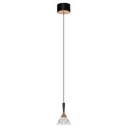 NOVA LUCE Pendelleuchte "PALUZ", schwarz, rose gold, 1, &Oslash; 10,5cm H: 180cm, 1 Stk., Leuchten, Pendelleuchte