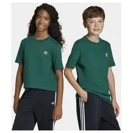 T-Shirt Adidas ORIGINALS "TEE", Jungen, Gr. 158, collegiate gr&uuml;n, Obermaterial: 100% Baumwolle, Rundhals, Shirts T-Shirt, f&uuml;r Kinder und Teens, mit gerippten Details, mit Rundhalsausschnitt