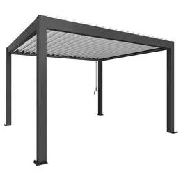 Pergola BioHort "4x3,5, verschiedene Farben", dunkelgrau, metallic, B:404,5cm H:264cm T:367,5cm, Pergolen, ausgezeichnet mit dem Red Dot Design Award