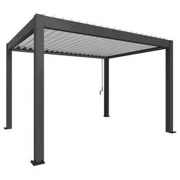 Pergola BioHort "4x3, verschiedene Farben", dunkelgrau, metallic, B:404,5cm H:264cm T:312cm, Pergolen, ausgezeichnet mit dem Red Dot Design Award