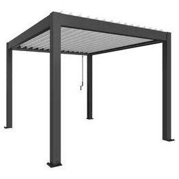 Pergola BioHort "3x3,5, verschiedene Farben", dunkelgrau, metallic, B:312cm H:264cm T:367,5cm, Pergolen, ausgezeichnet mit dem Red Dot Design Award