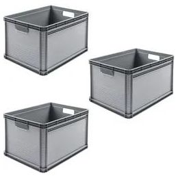 Transportbeh&auml;lter keeeper "Transportbox robert, 3er Set, 64 L, 60 x 40 x 32 cm", nordic grau, B:40cm H:32cm L:60cm, Kunststoff, Transportboxen, s&auml;ure- und laugenbest&auml;ndig, 60 kg Tragkraft