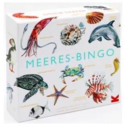 Spiel LAURENCE KING "Meeres-Bingo", bunt, Spiele, Kinder