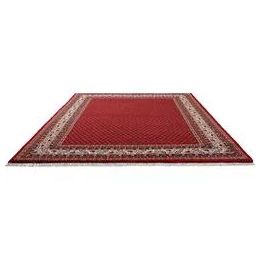 Orientteppich Theko "Chandi Mir" Gr. 7, rot (rot, creme), B:250cm H:12mm L:350cm, Schurwolle, Teppiche, Fransenteppich, reine Wolle, handgekn&uuml;pft, mit Fransen