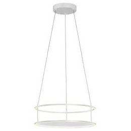 Paul Neuhaus LED Pendelleuchte "CONTURA", wei&szlig;, 2, &Oslash; 50cm H: 60cm, 1 Stk., Leuchten, Touchdimmer, separat schaltbar, Memoryfunktion, Deko-Ablagefl&auml;che, LED Pendelleuchte