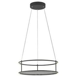 Paul Neuhaus LED Pendelleuchte "CONTURA", schwarz, 2, &Oslash; 50cm H: 60cm, 1 Stk., Leuchten, Touchdimmer, separat schaltbar, Memoryfunktion, Deko-Ablagefl&auml;che, LED Pendelleuchte