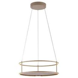 Paul Neuhaus LED Pendelleuchte "CONTURA", sand, 2, &Oslash; 50cm H: 60cm, 1 Stk., Leuchten, Touchdimmer, separat schaltbar, Memoryfunktion, Deko-Ablagefl&auml;che, LED Pendelleuchte