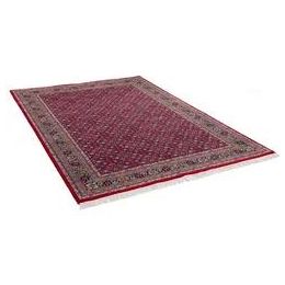 Orientteppich Theko "Benares Herati" Gr. 4, rot, B:170cm H:12mm L:240cm, Schurwolle, Teppiche, Fransenteppich, reine Wolle, handgekn&uuml;pft, mit Fransen