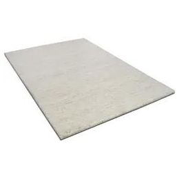 Wollteppich Theko "Amravati", beige (sand), B:150cm H:28mm L:150cm, Wolle, Teppiche, echter Berber Teppich, reine Wolle, handgekn&uuml;pft, auch als L&auml;ufer