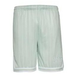 Shorts Karl Kani "Karl Kani Herren KM232-005-1 KK Retro Pinstripes Mesh Shorts", Herren, Gr. S, US-Gr&ouml;&szlig;en, light mint, wei&szlig;, 100% Polyester (Recycelt), gestreift, normal, Hosen Shorts
