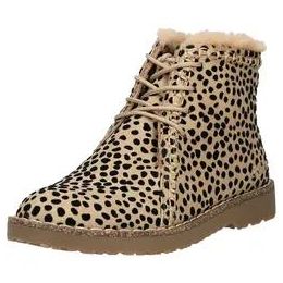 Schn&uuml;rstiefelette Blowfish "Blowfish Stiefelette Lederimitat/Textil", Damen, Gr. 40, leopard, Lederimitat, Textil, Schuhe Schn&uuml;rstiefelette