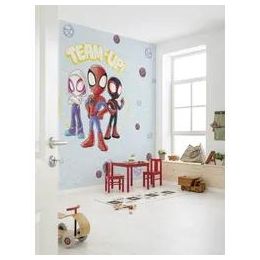 Fototapete Komar "Marvel Spidey and his Amazing Friends Team Up", blau,rot, B:3m H:250m, Vlies, Tapeten