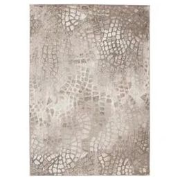 Teppich Kayoom "Catcher 225", silber, beige, B:120cm H:11mm L:170cm, Polyester, Teppiche, Teppich, Kurzflor, Wohnzimmer