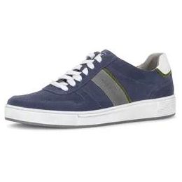 Sneaker PIUS Gabor, Herren, Gr. 8,5 (42,5), blau, grau, Veloursleder, Schuhe Sneaker, Freizeitschuh, Halbschuh, Schn&uuml;rer mit Kontrastbes&auml;tze, Weite G