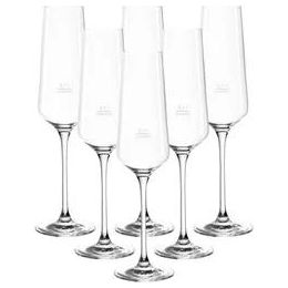 Sektglas Leonardo "Sektgl&auml;ser geeicht Puccini Gastro-Edition 0,1 l 6er Set transparent", bunt (transparent), Glas, Trinkgef&auml;&szlig;e