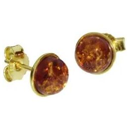 Paar Ohrstecker OSTSEE-SCHMUCK "- Classic 7 mm - Gold 585/000 - Bernstein" Gr. 8, gold (gold 585, goldfarben, gelb), Ohrringe, Damen, Gelbgold 585