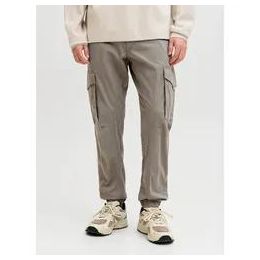 Jack & Jones Cargohose JACK & JONES "JPSTPAUL JJFLAKE CARGO NOOS", Herren, Gr. 31, L&auml;nge 34, falcon, Web, Obermaterial: 98% Baumwolle, 2% Elasthan, unifarben, regular fit lang, Hosen Cargohose, Baumwollmischung, regular fit