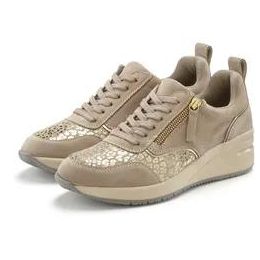 Sneaker Lascana "Freizeitschuh, Halbschuh", Damen, Gr. 38, beige, Obermaterial: 100% Rindsleder. Decksohle: 100% Textilmaterial. Futter: 100% Textilmaterial. Laufsohle: 100% Synthetik, Veloursleder, unifarben, Basic, Schuhe Sneaker, aus Leder mit innenliegendem Keilabsatz und Leo-Druck