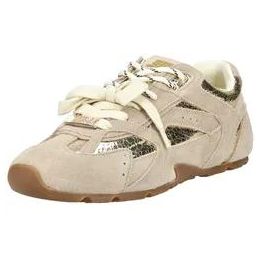 Sneaker Steve Madden "Steve Madden Sneaker Leder", Damen, Gr. 37, gold, beige, Leder, Schuhe Sneaker