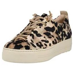 Plateausneaker Paul Green "Paul Green Sneaker Textil", Herren, Gr. 40,5, leopard, Textil, Schuhe Plateausneaker