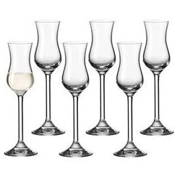 Schnapsglas Leonardo "Grappagl&auml;ser Daily 30 ml 6er Set transparent", bunt (transparent), Glas, Trinkgef&auml;&szlig;e