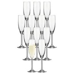 Sektglas Leonardo "Sektglas Daily 200 ml 12er Set transparent", bunt (transparent), Glas, Trinkgef&auml;&szlig;e